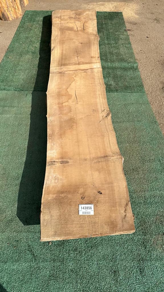 Bay Laurel # 143856 – Pacific Slabs