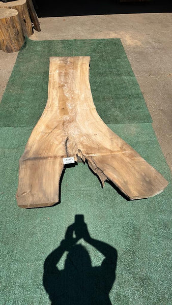 Bay Laurel #143875 – Pacific Slabs