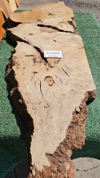 Bay Laurel Burl # 143908 – Pacific Slabs