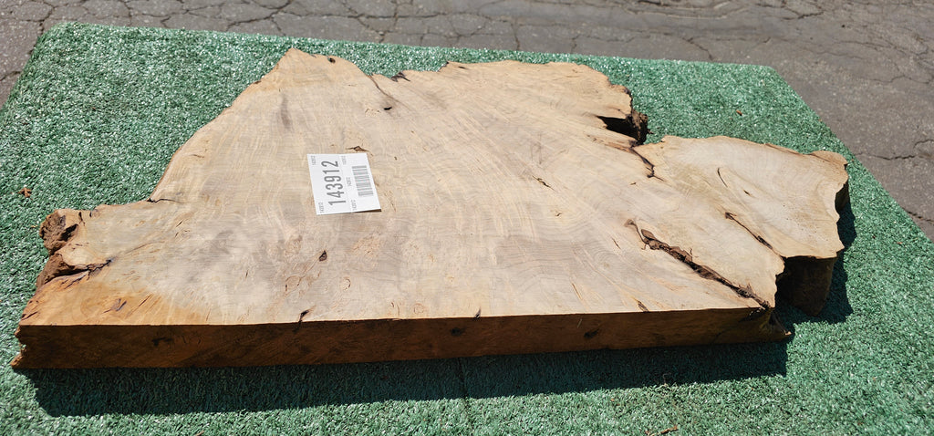 Bay Laurel Burl # 143912 – Pacific Slabs