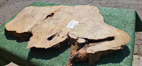 Bay Laurel Burl # 143913 – Pacific Slabs