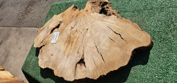 Bay Laurel Burl # 143921 – Pacific Slabs