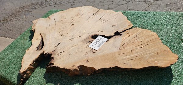 Bay Laurel Burl # 143922 – Pacific Slabs