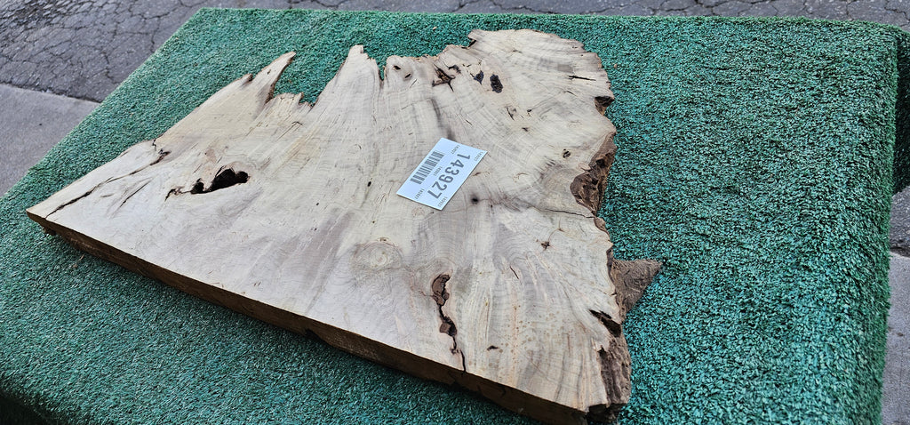 Bay Laurel Burl # 143927 – Pacific Slabs