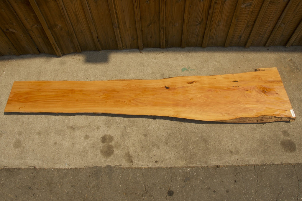 Monterey Cypress Wood Slab #143038 – Pacific Slabs