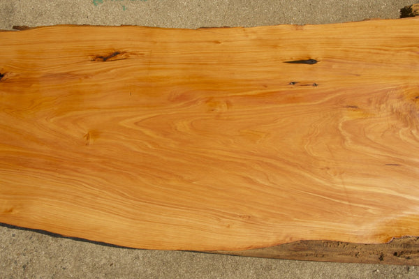 Monterey Cypress Wood Slab #143038 – Pacific Slabs