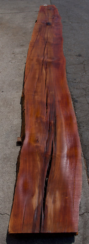 Madrone Wood Slab #143081 – Pacific Slabs